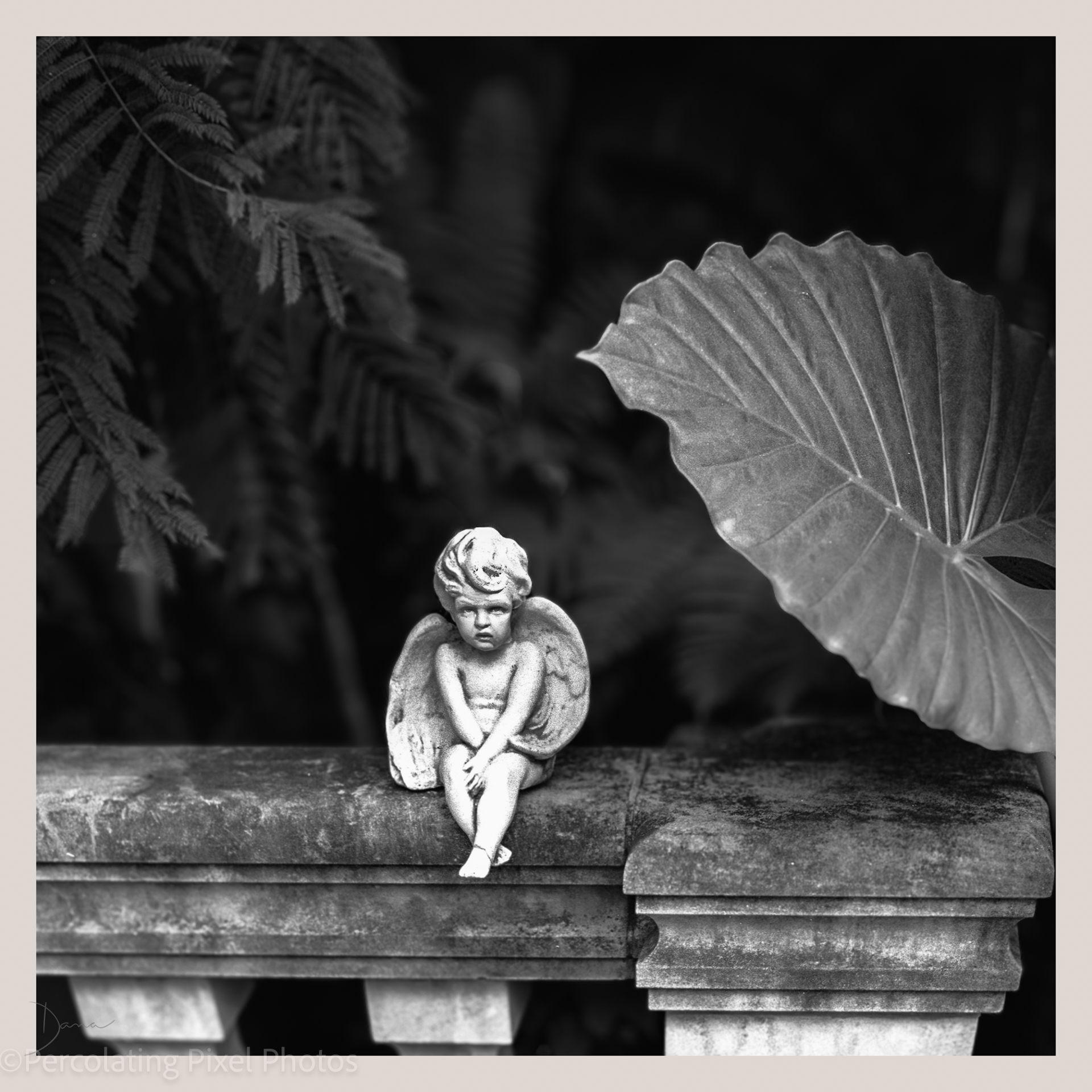 The Mayfair Witches – Percolating Pixels Photography